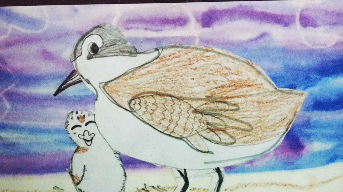 PHOTOS: Seaside elementary school students help snowy plovers with art