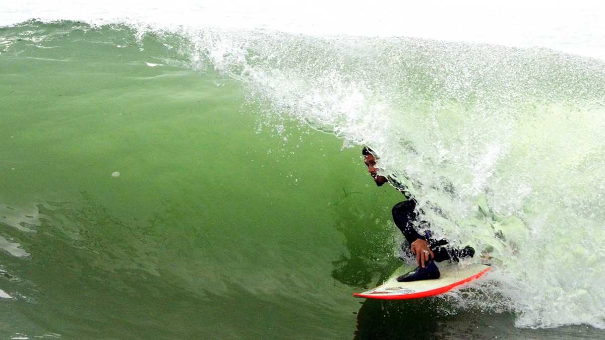 Santa Cruz surfer Flea throwing benefit luau for FleaHab