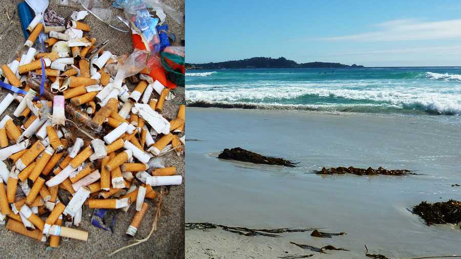 Stone's Calif. bill would ban filtered cigarettes