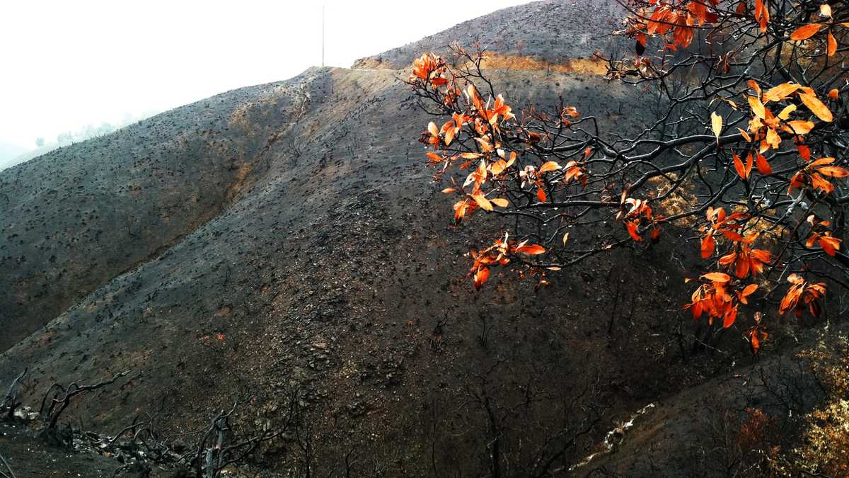PHOTOS: March, April storms on Central Coast