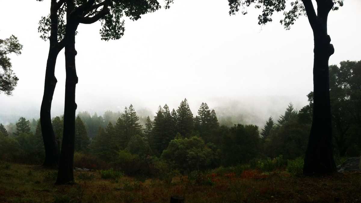 PHOTOS: March, April storms on Central Coast