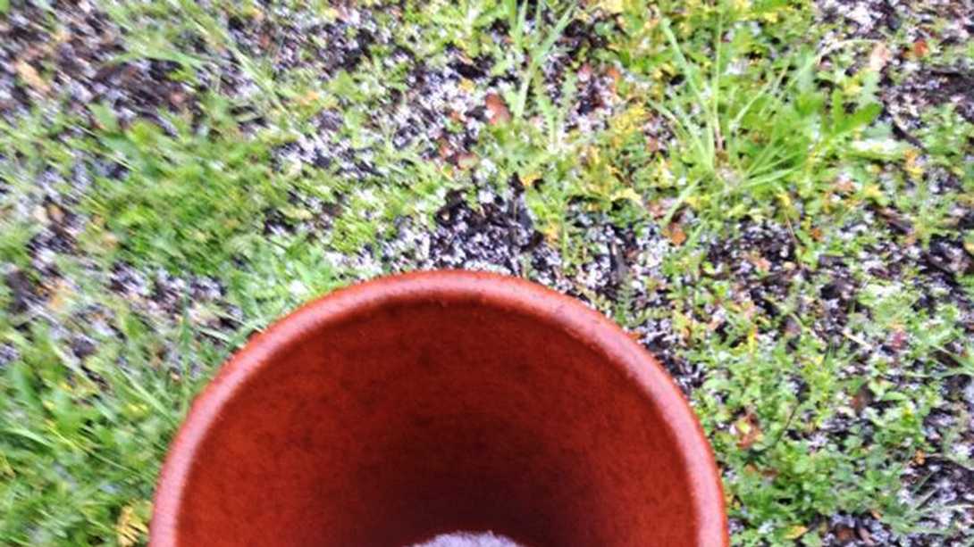 PHOTOS: March, April storms on Central Coast