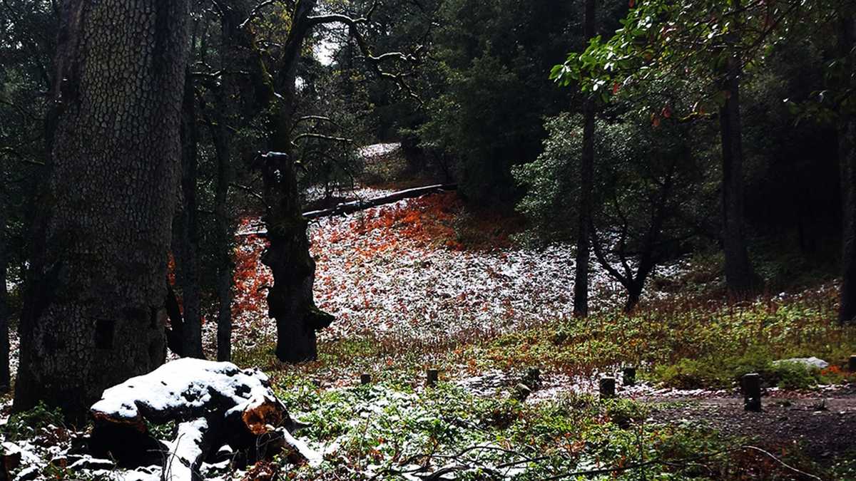 PHOTOS: March, April storms on Central Coast