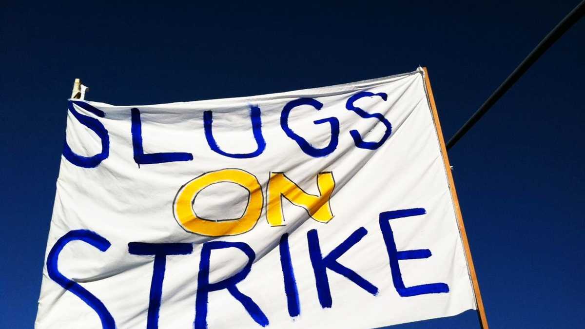 22 arrested at UC Santa Cruz strike; Protest continues Thursday