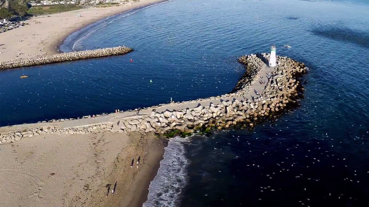 PHOTOS: Squishy, strange things found on Monterey Bay beaches