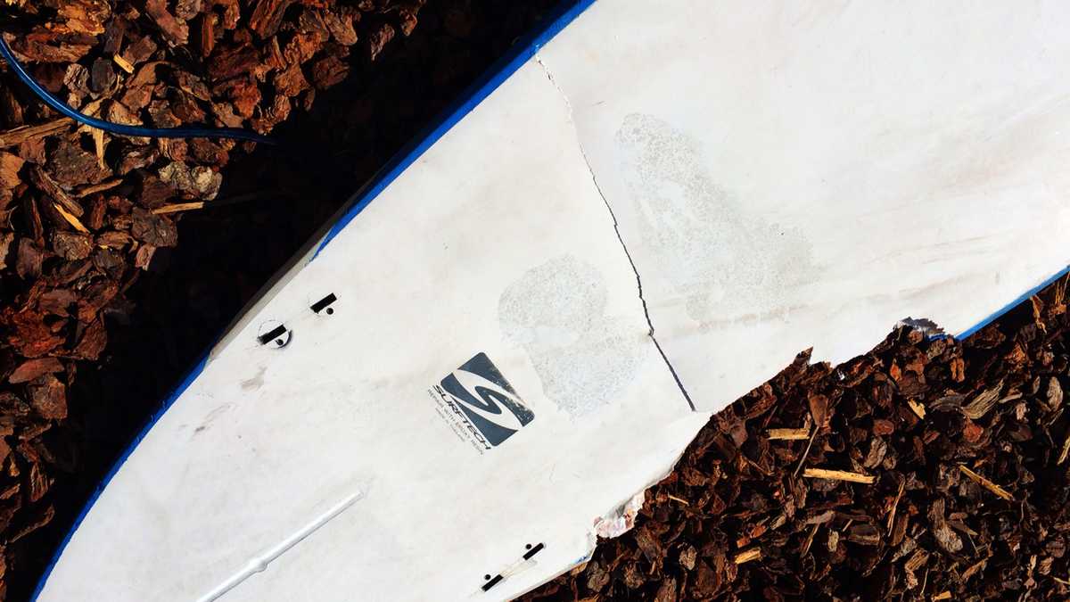 Surfer: Great white shark bit my board at Manresa State Beach