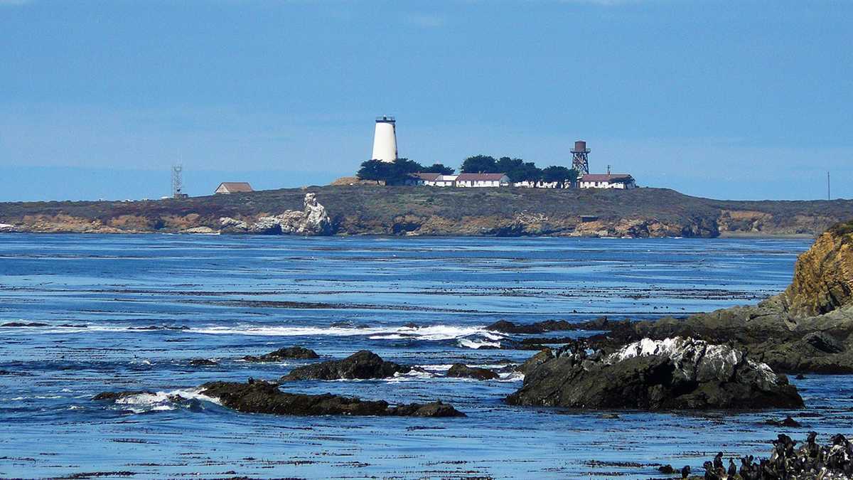 Tons Of Marijuana Seized In Central California