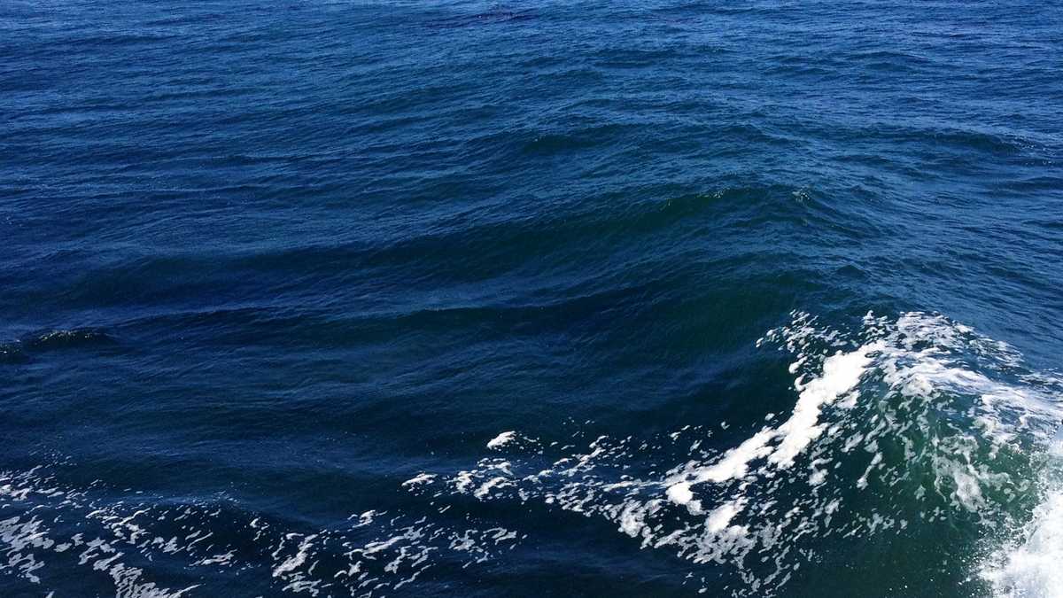 Massive waves, King Tides take over the Central Coast