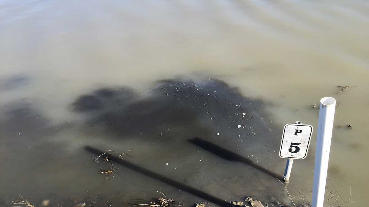 PHOTOS: Salinas sludge ponds are source of big stink