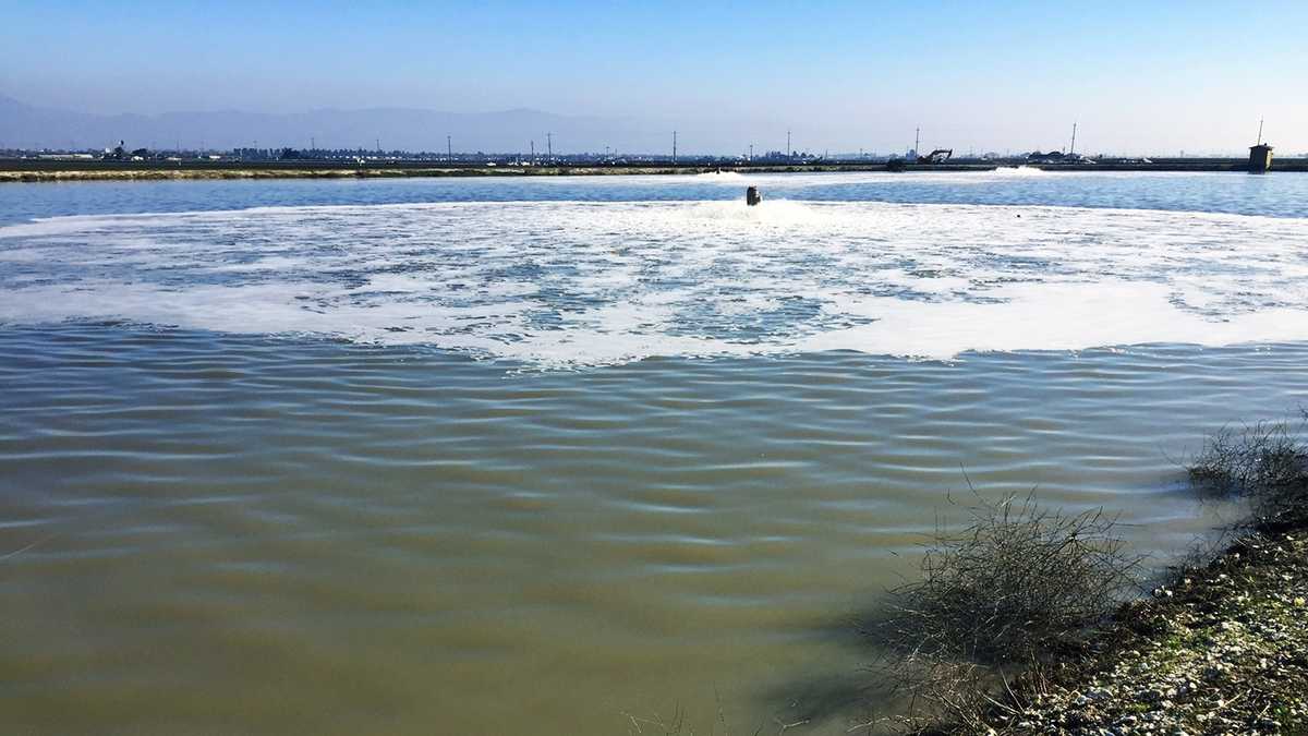 PHOTOS: Salinas sludge ponds are source of big stink
