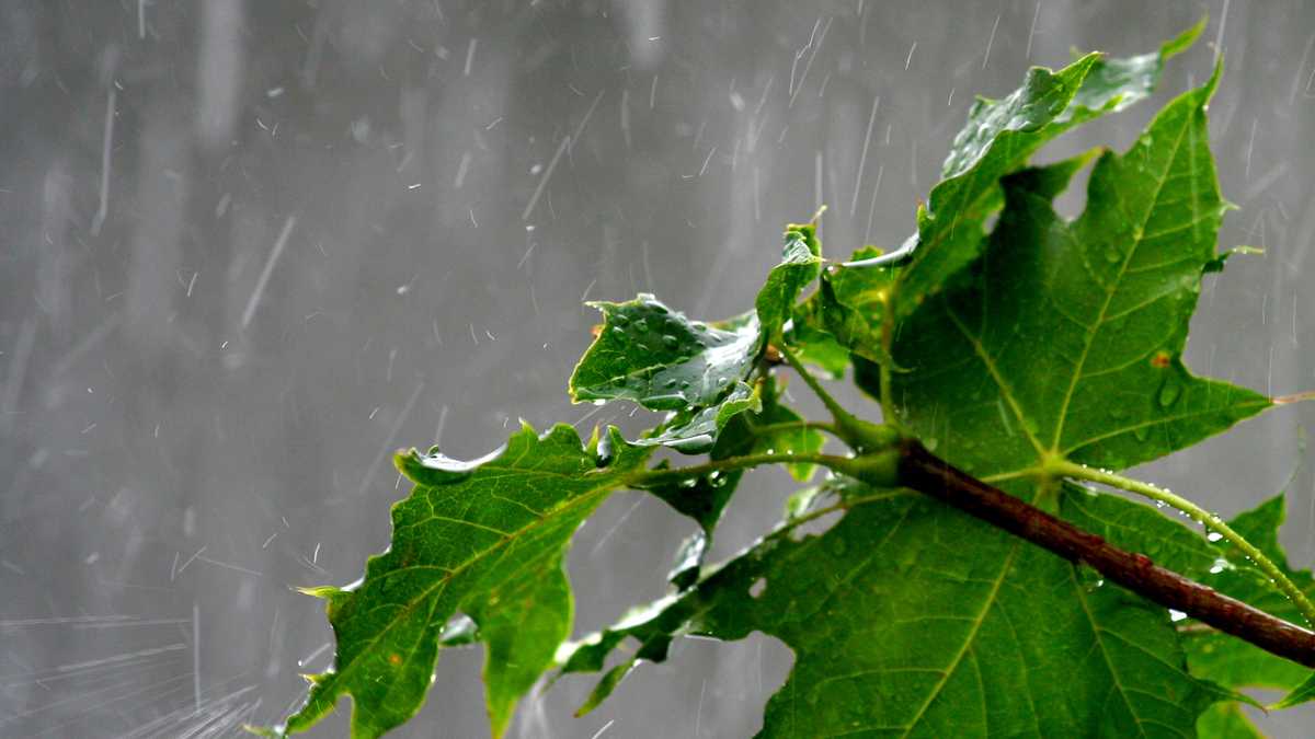 Central Coast winter rainfall totals: December through March