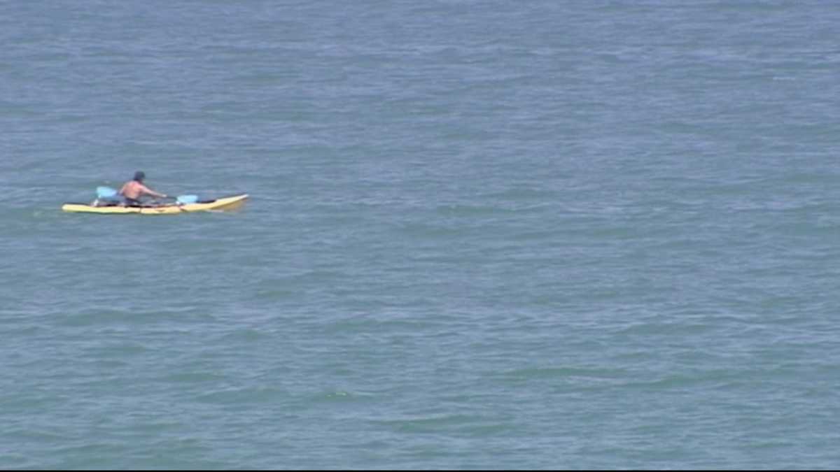 Humpback whales put on show in Monterey Humpback whales put on show in Monterey
