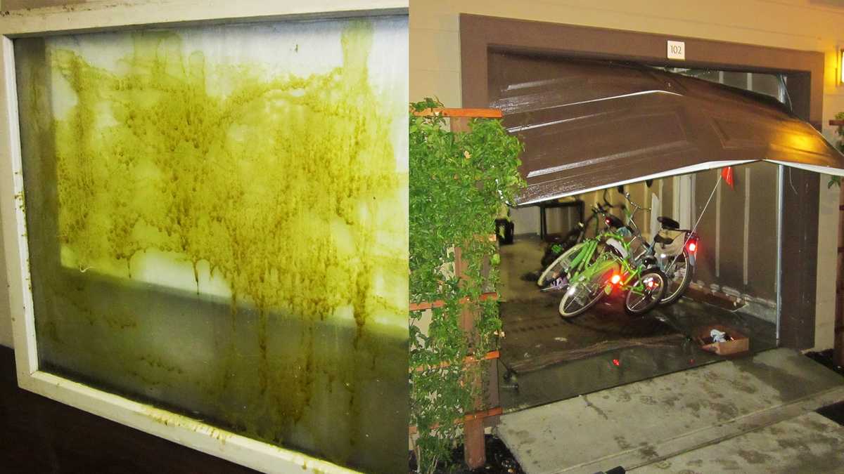 Another hash oil lab explodes in Santa Cruz