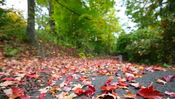 21 things to love about fall