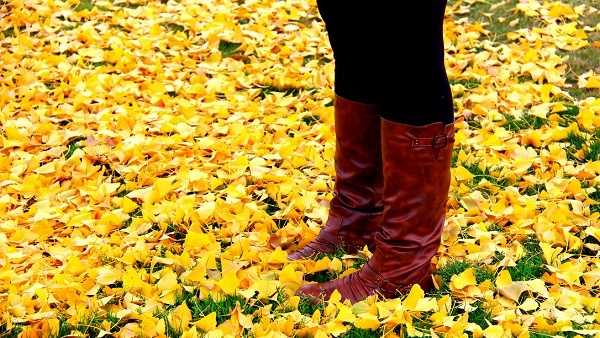 21 things to love about fall