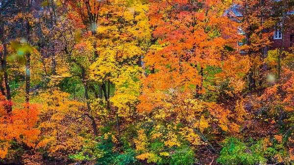 21 things to love about fall