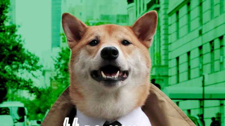 7 Pieces Of Life Advice From The Internet's Most Famous Pets