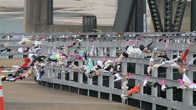 Hundreds of bras line bridge over Mississippi River