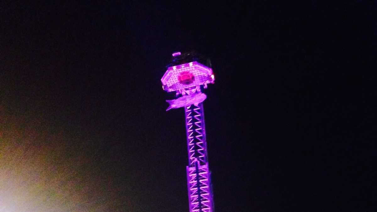 Catfish drops at midnight in Jackson to celebrate New Year