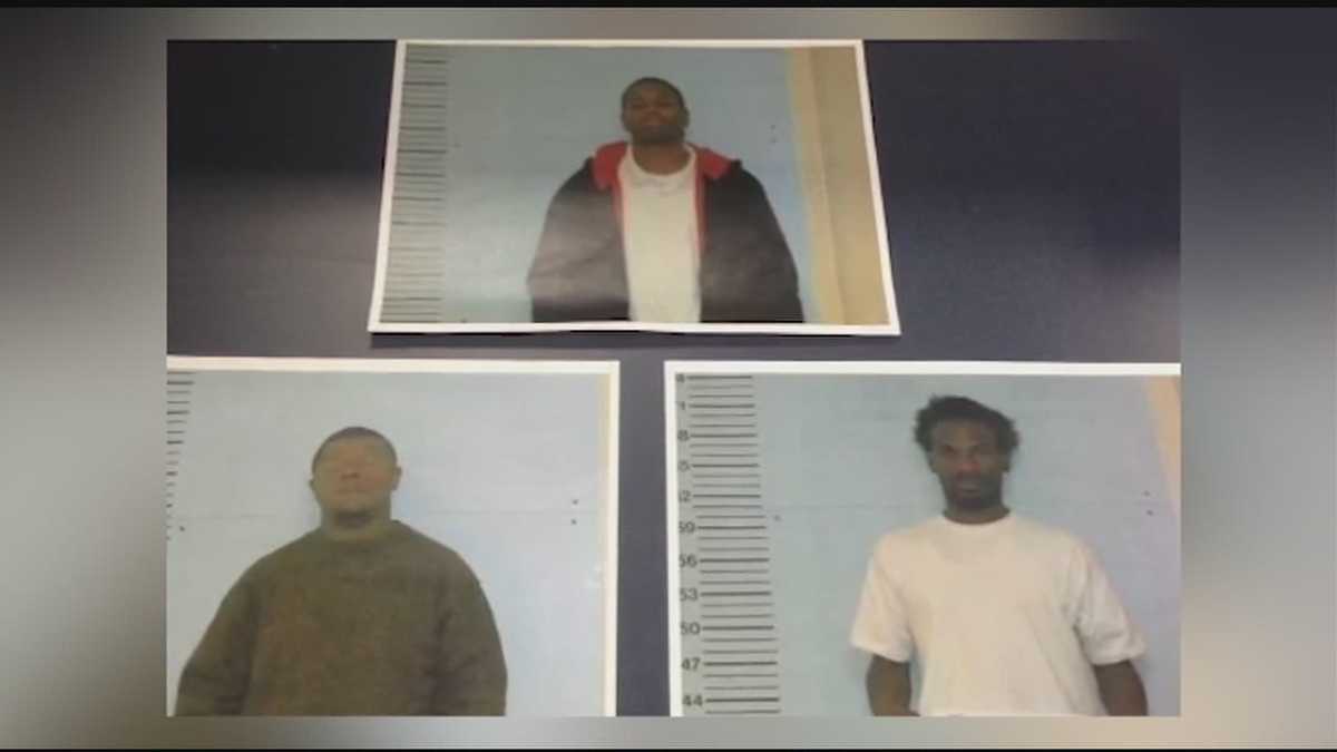 Mug shots: January arrests