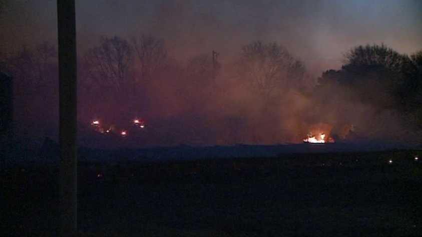 1,000 chickens survive fire