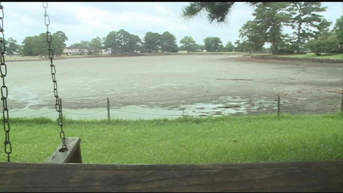 Crossgates Lake producing nasty odor