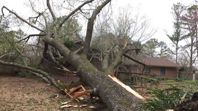 Tree crushes part of house in Clinton