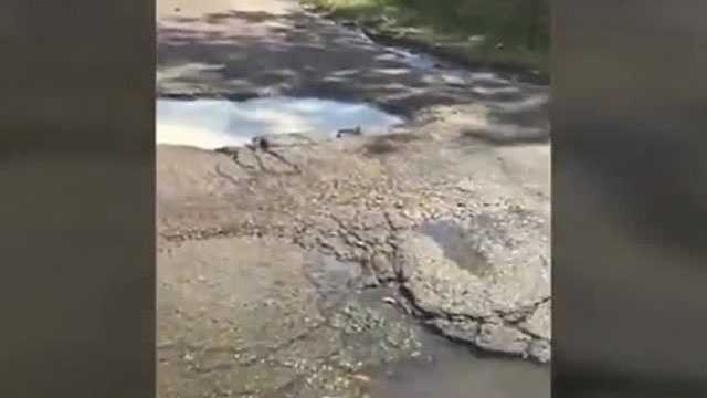 Video of potholes on Lawrence Street goes viral