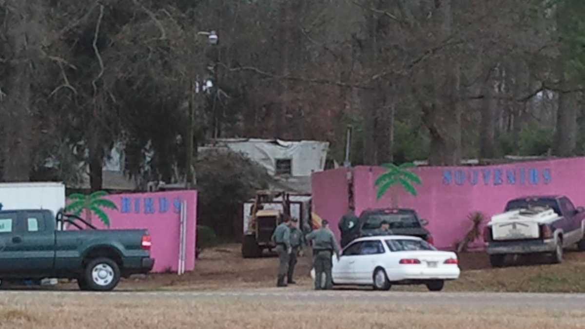 Tigers, Other Animals Seized From Collins Zoo