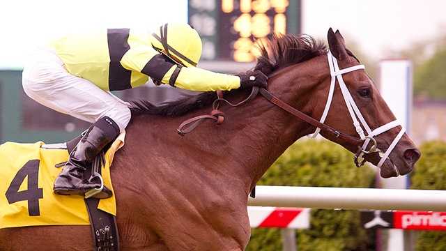 Hudson Steele wins Henry S. Clark Stakes