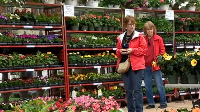 In photos: Flower Mart kicks off in Baltimore