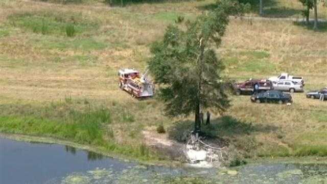 In photos: Plane's wing strikes tree before fatal crash