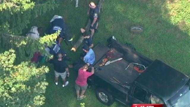 Tree-cutting accident injures 2 in Fallston