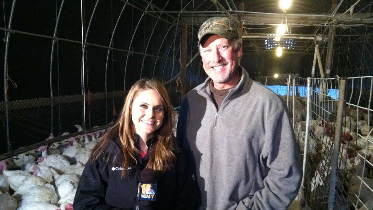 Behind the scenes of Ava's turkey farm visit