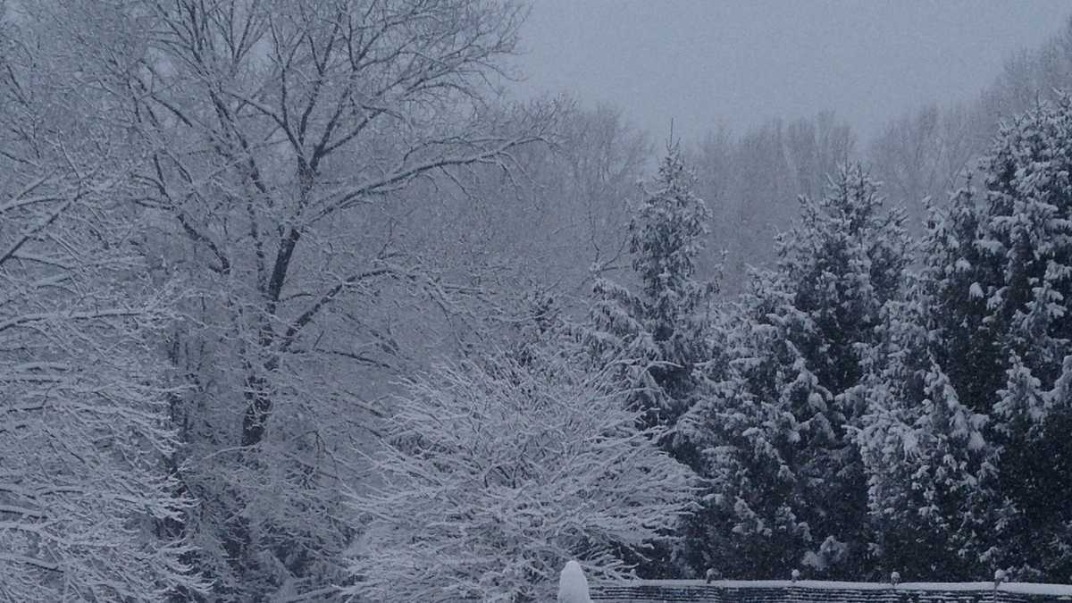 Images: Spring snow totals in Maryland