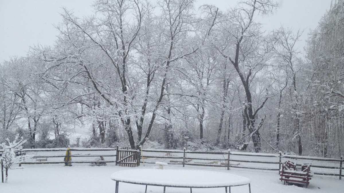 Images: Spring snow totals in Maryland