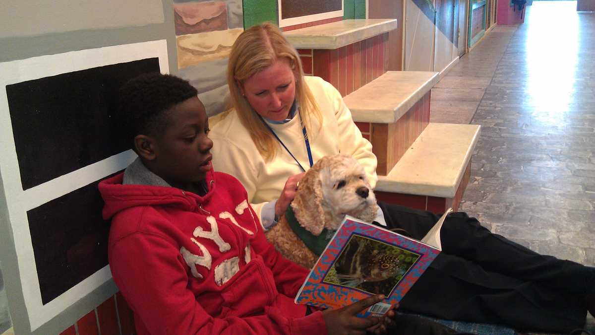 Therapy dog helps special-needs students read
