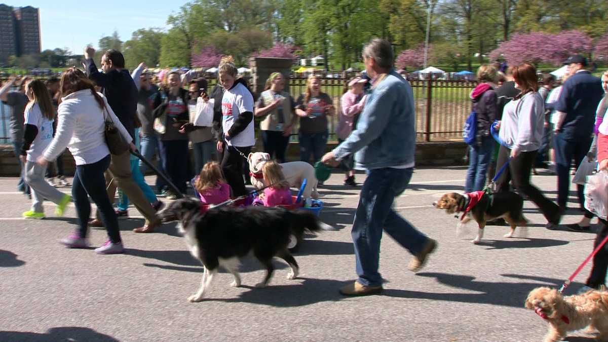 In Photos: Pet fans raise funds at March for the Animals