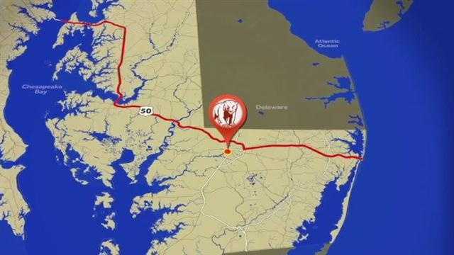 In Photos: Kate Amara's O.C. road trip pit stops