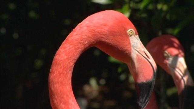 In Photos: Kate Amara's O.C. road trip pit stops