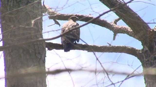 In Photos: Kate Amara's O.C. road trip pit stops