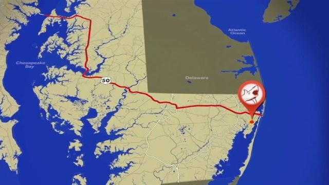 In Photos: Kate Amara's O.C. road trip pit stops