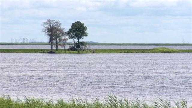 In Photos: Kate Amara's O.C. road trip pit stops