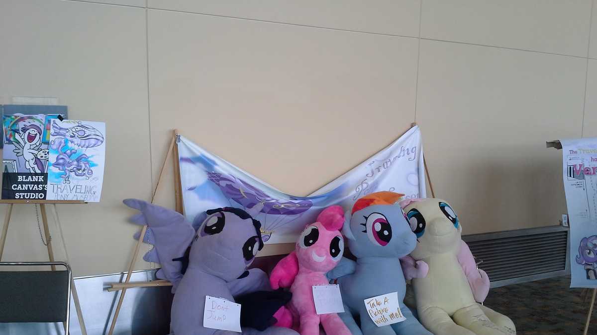 Images: Bronies celebrate 'My Little Pony'