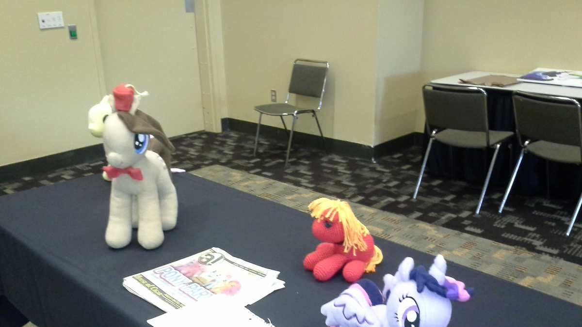 Images: Bronies celebrate 'My Little Pony'