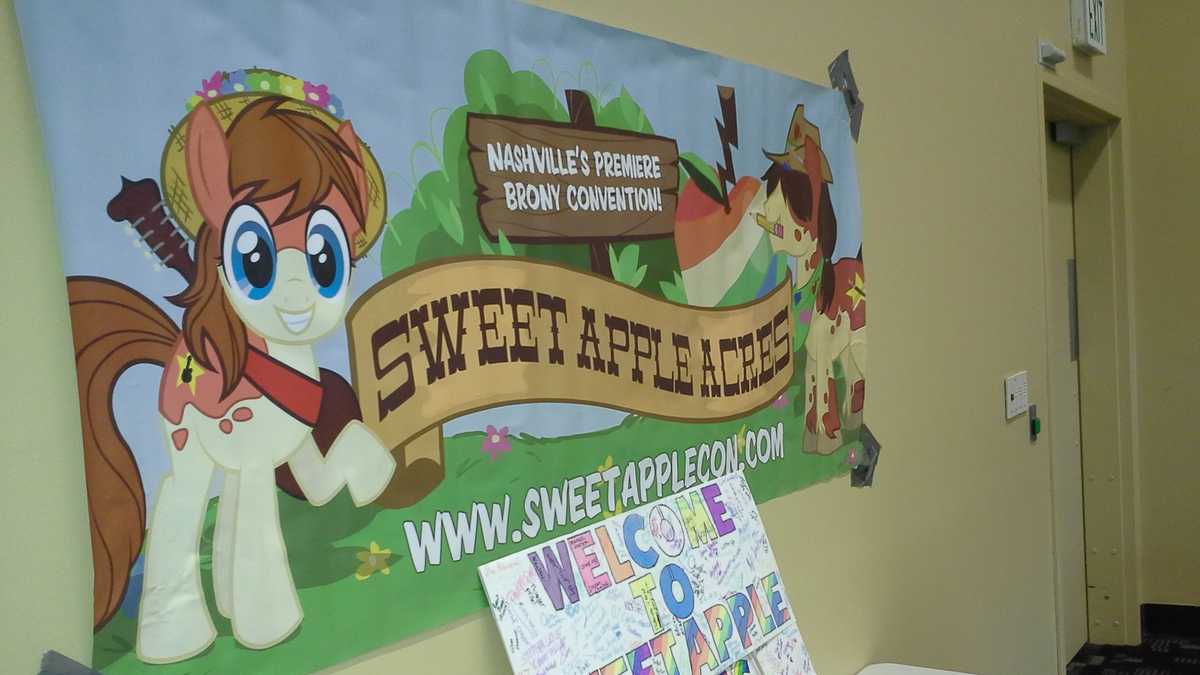 Images: Bronies celebrate 'My Little Pony'