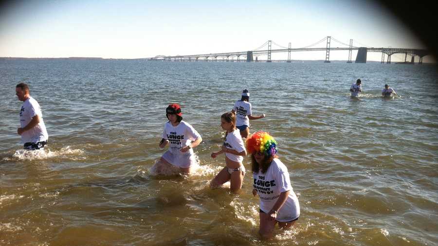 Polar Bear Plunge in photos