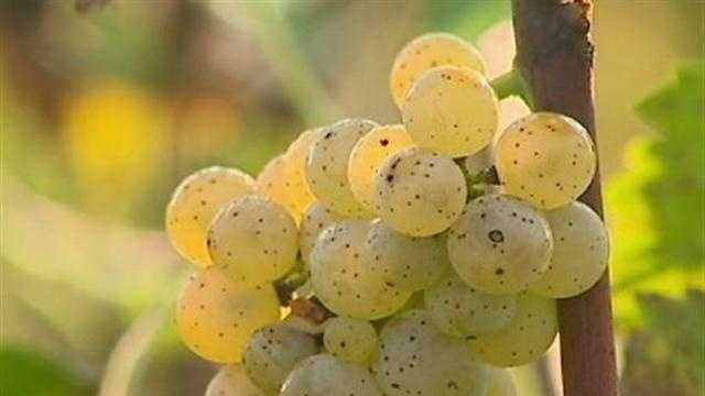 30 things you didn't know about Jason Newton