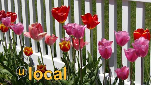 30 things you didn't know about Jason Newton