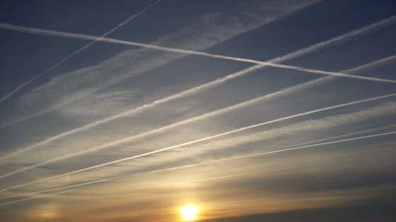 30 things you didn't know about Jason Newton